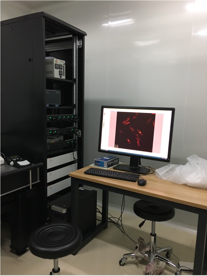 Lab day! – Chuanhai Fu lab